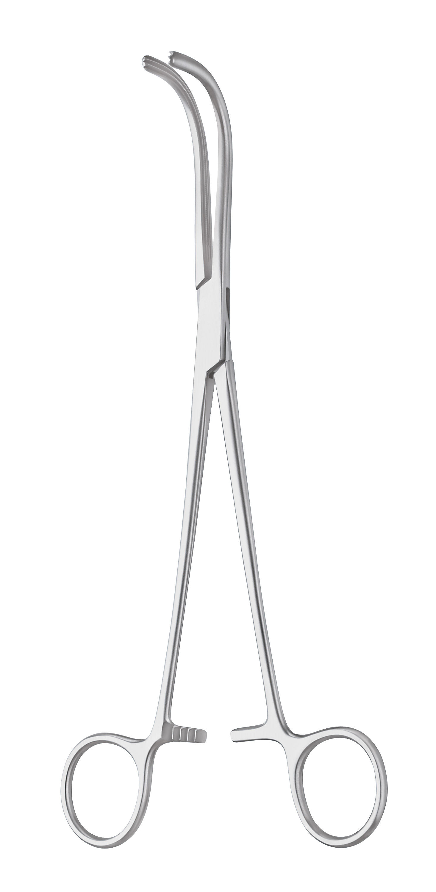 GUYON AT KIDNEY FORCEPS, 24CM