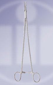 BRIDGE ARTERY FORCEPS, 28CM, CURVED