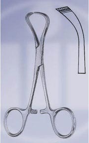 EDNA LORNA TOWEL CLAMP, 14CM