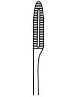 SIMS MAIER SPONGE FORCEPS, 28CM, STRAIGHT