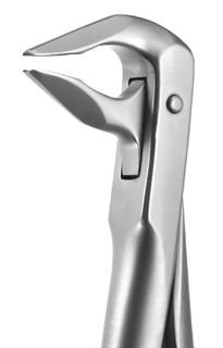 APICAL RETENTION EXTRA NARROW ASH PATTERN LOWER ANTERIOR FORCEPS W ...