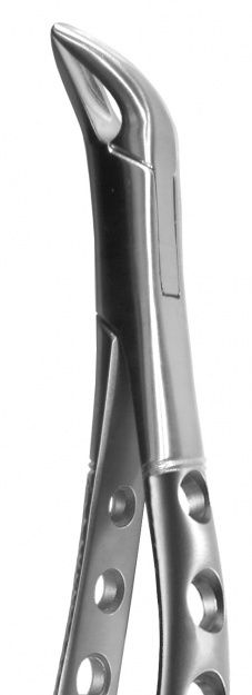 EXTRACTION FORCEP, LOWER UNIVERSAL
