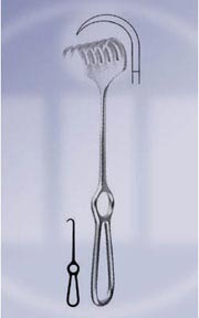 RAKE RETRACTOR, 24CM, 6 SHARP PRONGS, 50MM WIDE X 25MM DEEP