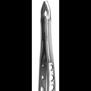 EXTRACTING FORCEPS / A TITAN