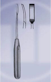 RASPATORY, 18.5CM, 6MM, SHARP, CURVED, CHISEL EDGE