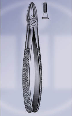 LEVIS DENTAL FORCEPS #1 WITH NON SLIP BEAKS, UPPER INCISORS AND BICUSPIDS