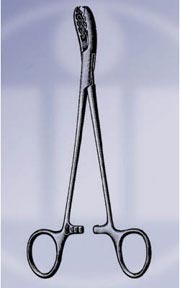 BIRCHER GANSKE CARTILAGE AND MENISCUS SEIZING FORCEPS, 20CM, CURVED ON FLAT